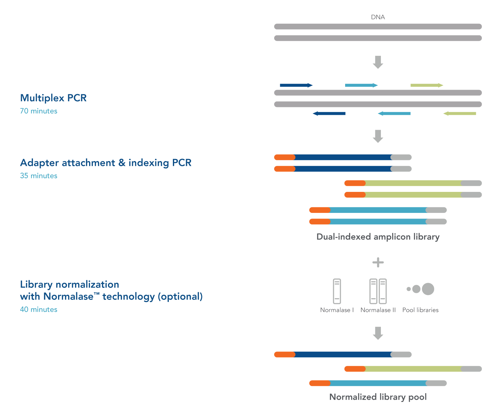xGen ITS1 & 16s rRNA Sequencing Kits | IDT xGen ITS1 & 16s rRNA Sequencing Kits | IDT