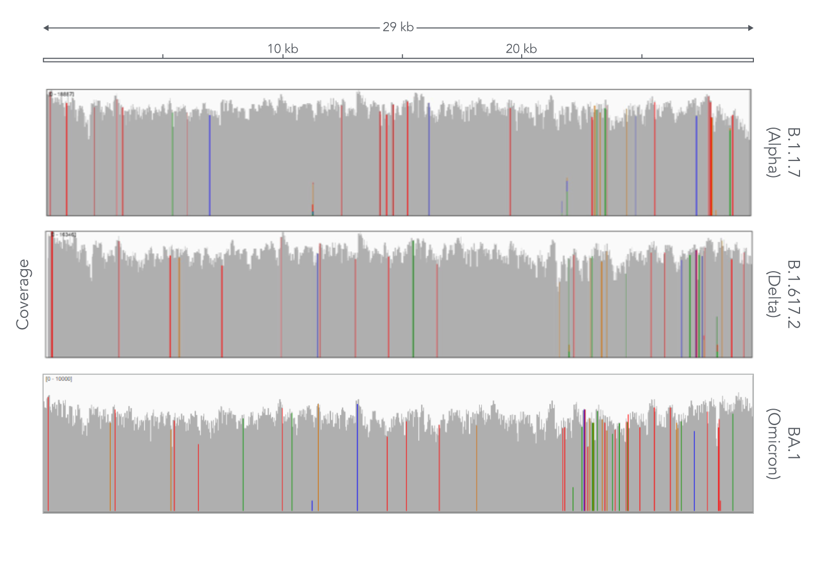 Viral Sequencing Of Sars Cov 2 Idt