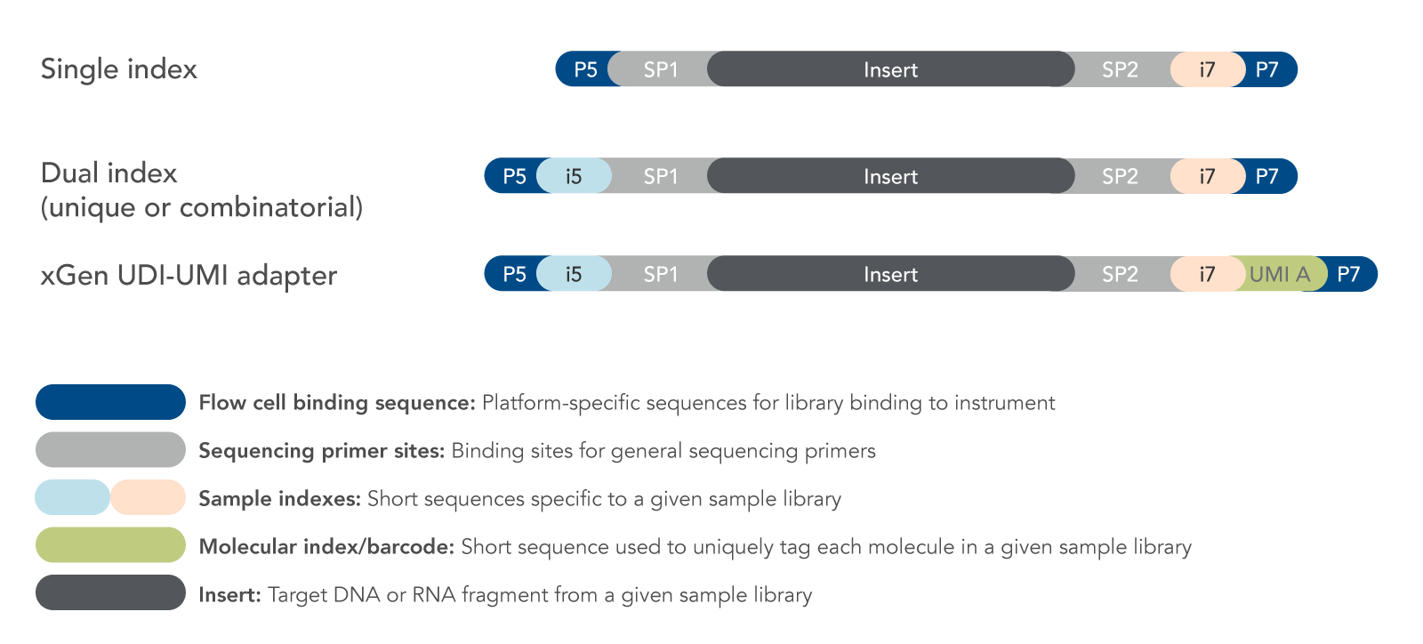 Illumina Sequencing Adapters & Indexing Primers by xGen | IDT Illumina Sequencing Adapters & Indexing Primers by xGen | IDT