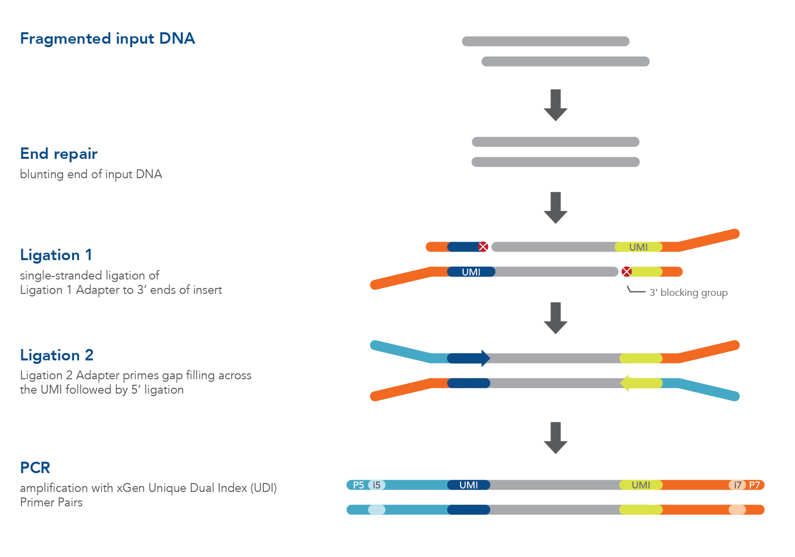 XGen Prism DNA Library Prep Kit For NGS IDT XGen Prism DNA Library Prep Kit For NGS IDT