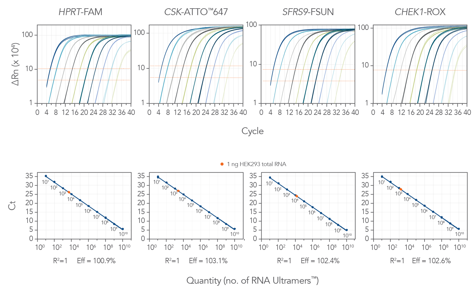 Primetime One Step Rt Qpcr Master Mix Idt